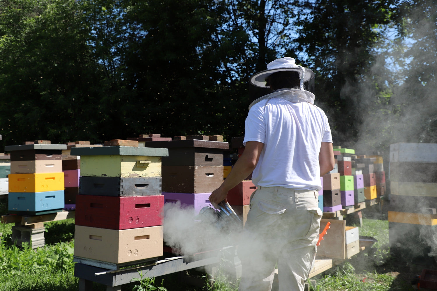 Brett's Bees – Brett's FarmStand